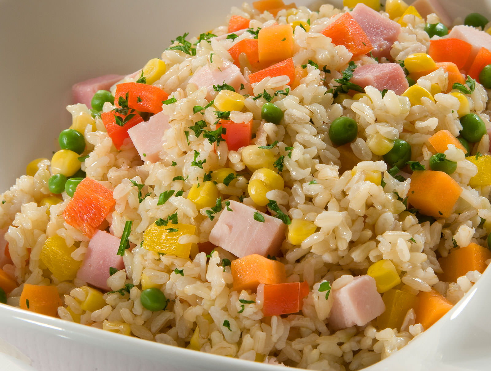 Arroz Integral - Induveca