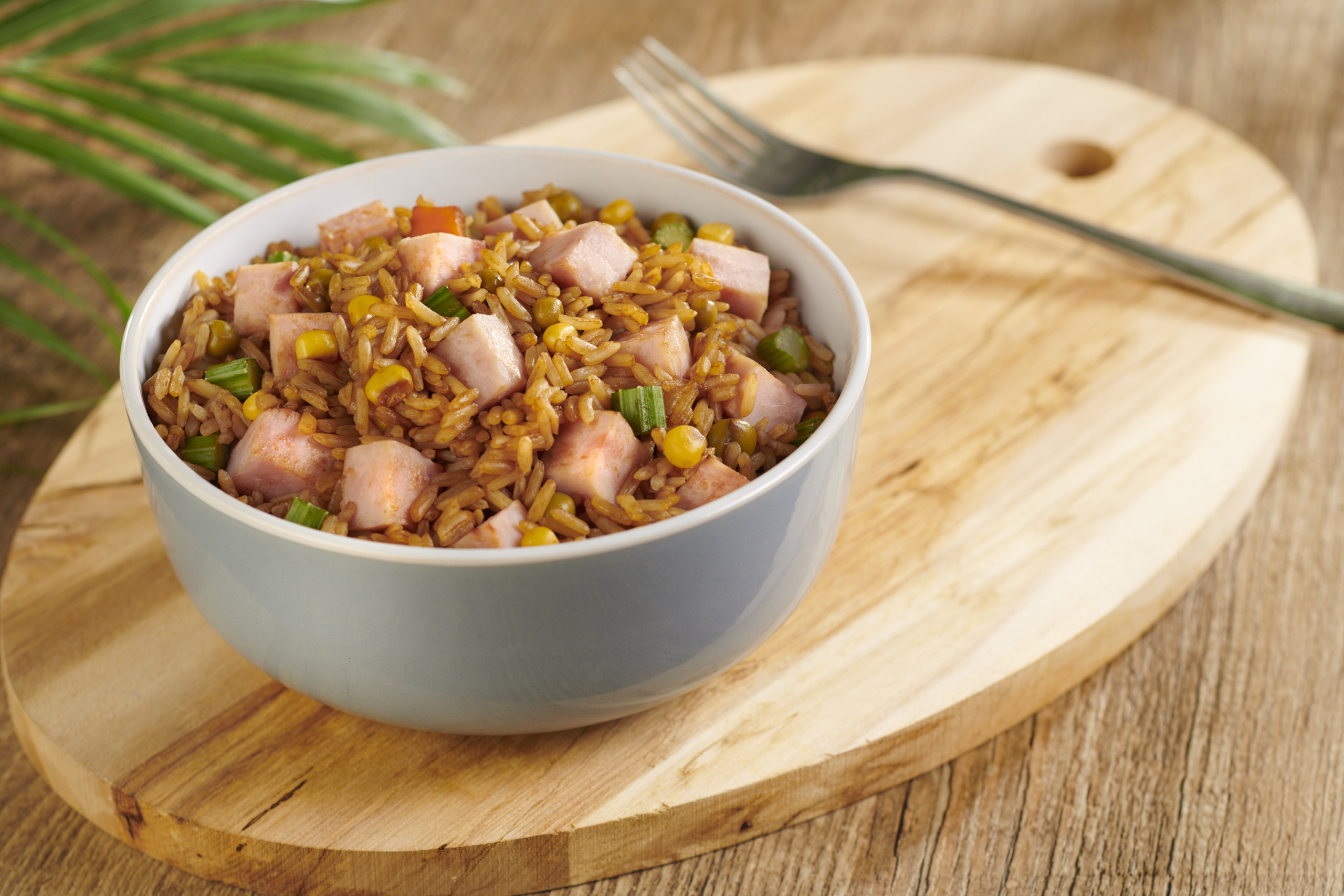 Chofán con Jamón Especial Induveca - Induveca